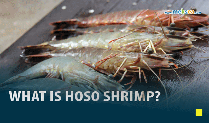 What is HOSO Shrimp? - Meksea - High Quality Frozen Seafood Supplier in ...
