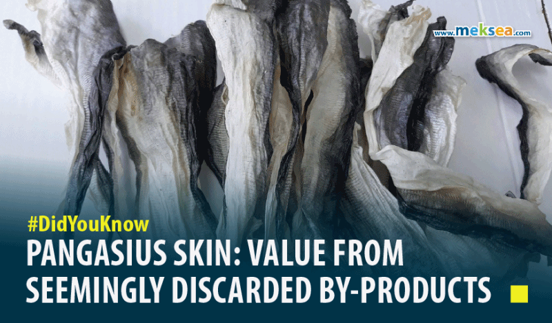 Pangasius skin: value from seemingly discarded by-products - Meksea ...