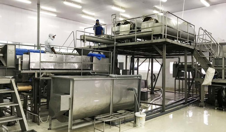 Vietnam's surimi exports increased by nearly 30% - Meksea