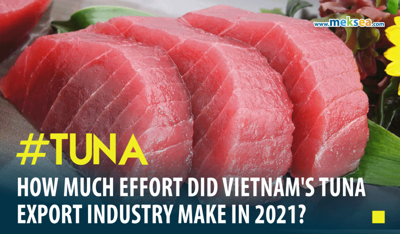 How much effort did Vietnam's tuna export industry make in 2021 ...