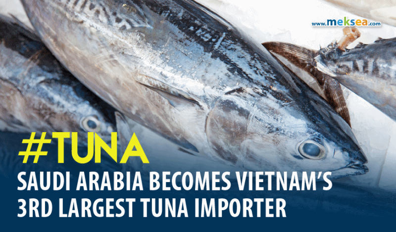 Saudi Arabia becomes Vietnam’s 3rd largest tuna importer - Meksea ...