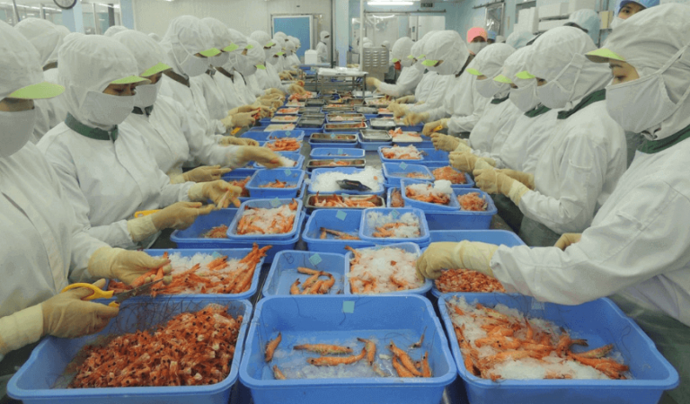 Vietnam is one of 7 major shrimp exporter countries in the world ...