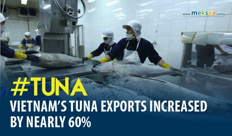 Vietnam’s tuna exports increased by nearly 60% - Meksea - High Quality ...