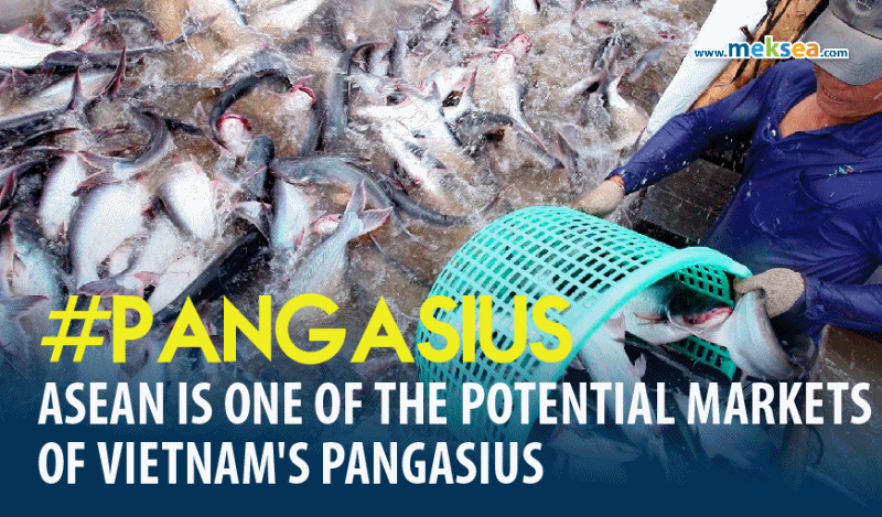ASEAN is one of the potential markets of Vietnam's pangasius - Meksea ...