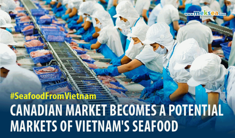 Canadian market becomes one of the potential markets of Vietnam's ...