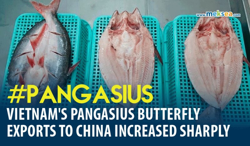 Vietnam's pangasius butterfly exports to China increased sharply ...