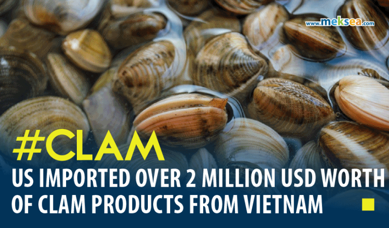 US imported over 2 million USD worth of clam products from Vietnam - Meksea - High Quality ...