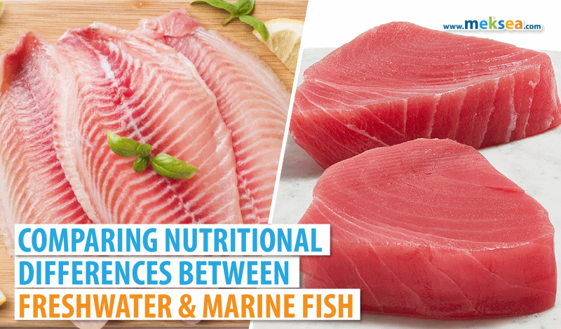 Comparing Nutritional Differences Between Freshwater Fish and Marine ...
