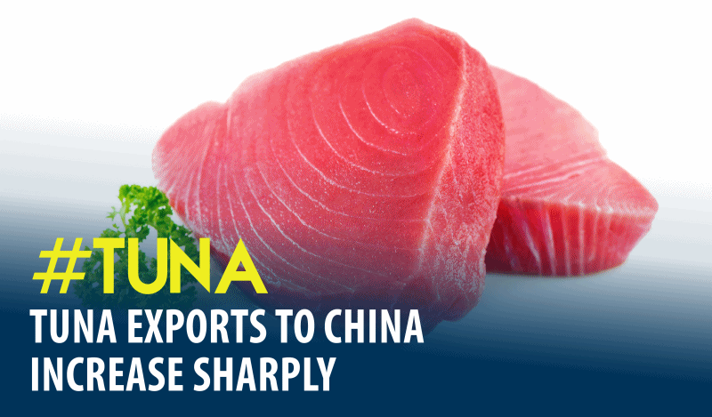 Tuna exports to China increase sharply - Meksea - High Quality Frozen ...