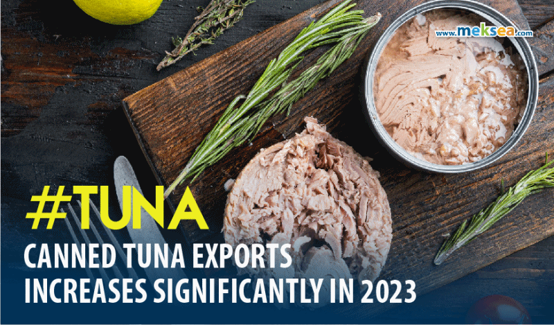 Vietnam’s canned tuna exports increases significantly in 2023 - Meksea ...