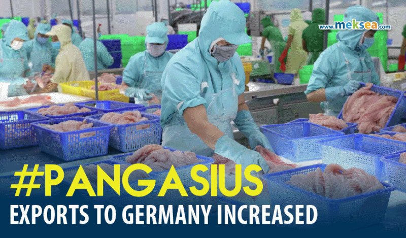 Pangasius exports to Germany increased - Meksea - High Quality Frozen ...