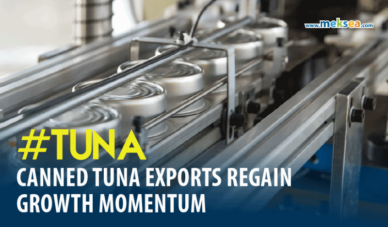Canned tuna exports regain growth momentum - Meksea - High Quality ...