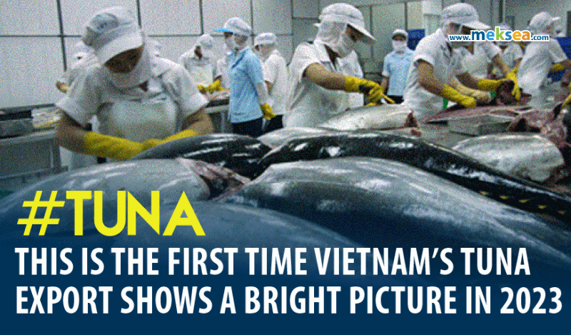 This is the first time Vietnam’s tuna export shows a bright picture in ...