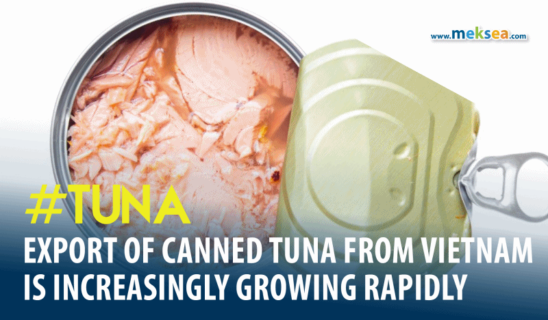 The export of canned tuna from Vietnam is increasingly growing rapidly ...