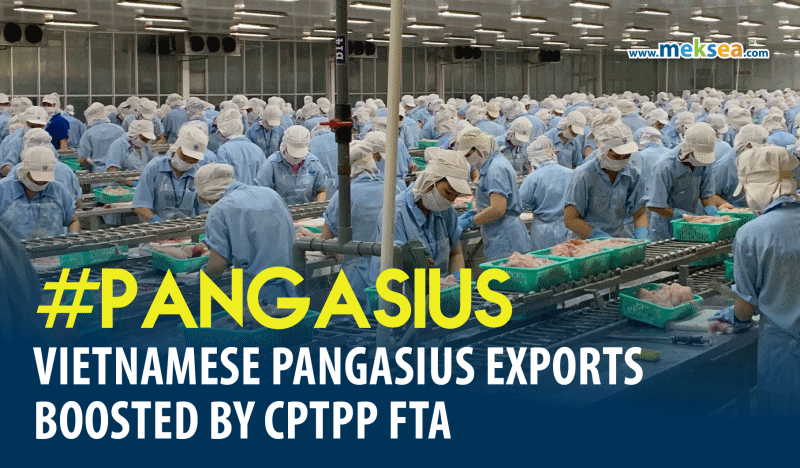 Vietnamese Pangasius Exports Boosted by CPTPP FTA - Meksea - High Quality Frozen Seafood ...