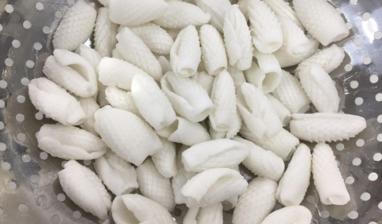 Did you know: Pine Cone Squid and Interesting Things You Need to Know ...