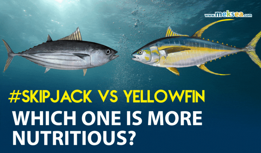 Skipjack and Yellowfin Tuna: Which one is more nutritious? - Meksea ...